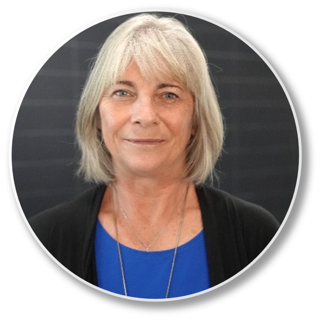 Workshop: Embedding Virtual Simulations in an Educational Program - Simulation Canada